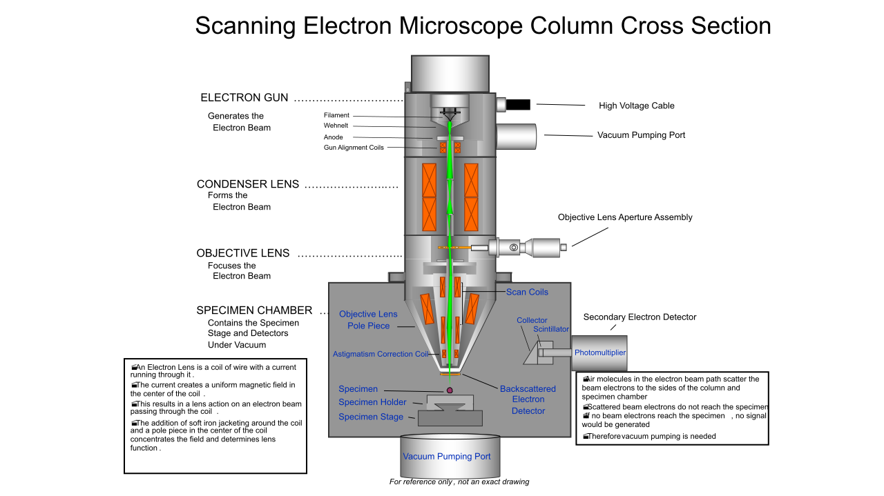 What is Scanning Electron Microscopy?